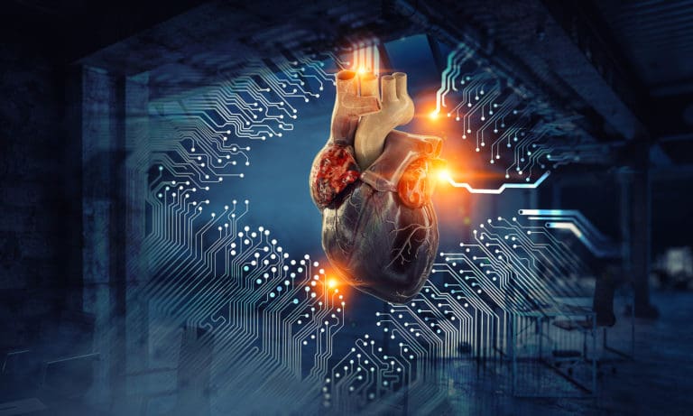 Biomedical Engineering - TryEngineering.org Powered by IEEE