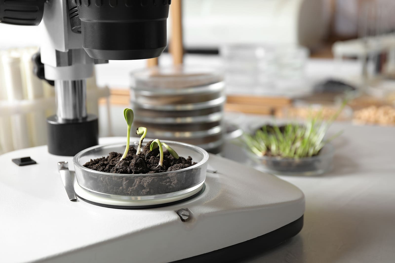 Agricultural and Food Engineering - TryEngineering.org Powered by IEEE